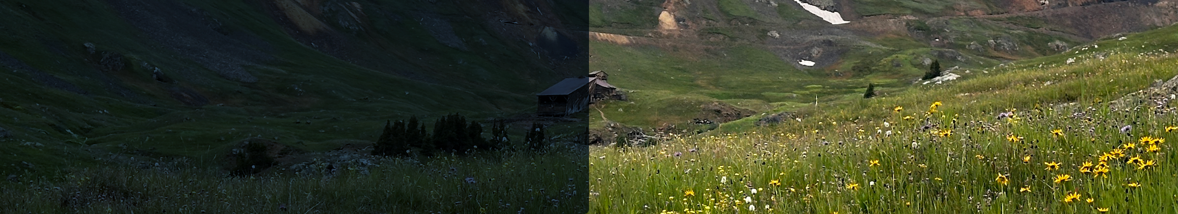 wildflowers2-full width - Skeo